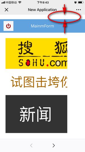 How To Remove The Empty Place On The Top Of Mainform General