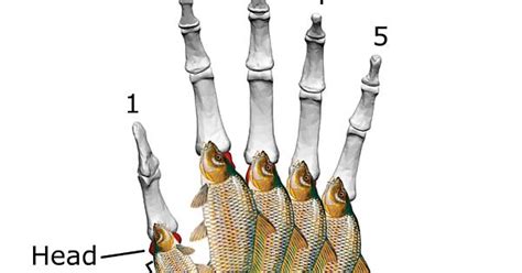 This Pun Is Bad On More Than One Level Imgur