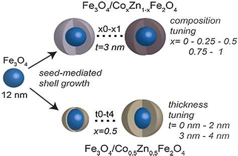 Schematic Diagram Of The Core Shell Nanoparticles Synthesized Through A Download Scientific