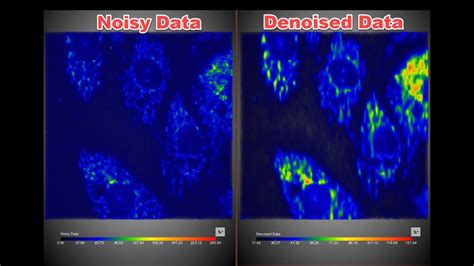 Python Console In Dragonfly Non Local Means Denoising Image