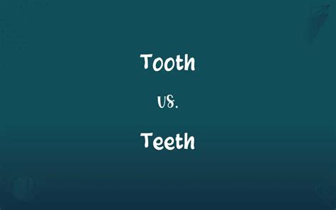 Tooth Vs Teeth Whats The Difference