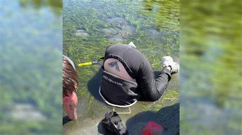 Tiktok Video Of Woman Digging For Geoduck In Wa Goes Viral Fox 13 Seattle