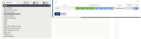 Link Aggregation Groups Citrix Sd Wan 114