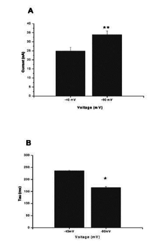 Hyperpolarization Activated Current I H In The Scn A Activation Of Download Scientific