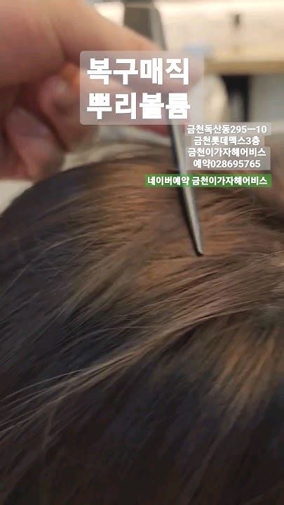 가는모발 뿌리볼륨 만족해요복구매직사모님복구매직40대 50대 60대 Youtube