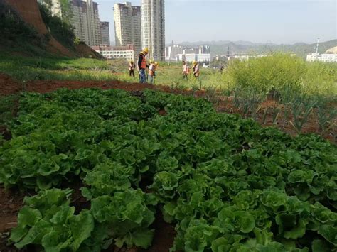 陕一建六分司商洛博物馆项目 陕西欣泽建筑工程