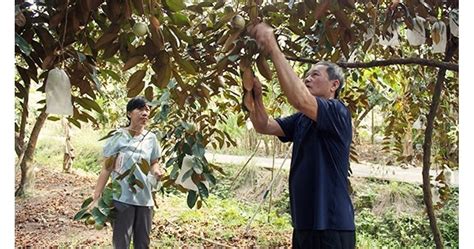 130 млн долара влага Виетнам в зона за биологично земеделие