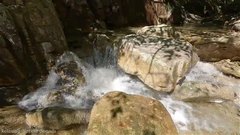 힐링 물소리 자연 영상 따듯한 햇살과 투명하게 맑은 아름다운 계곡 영상 한국 자연 Youtube