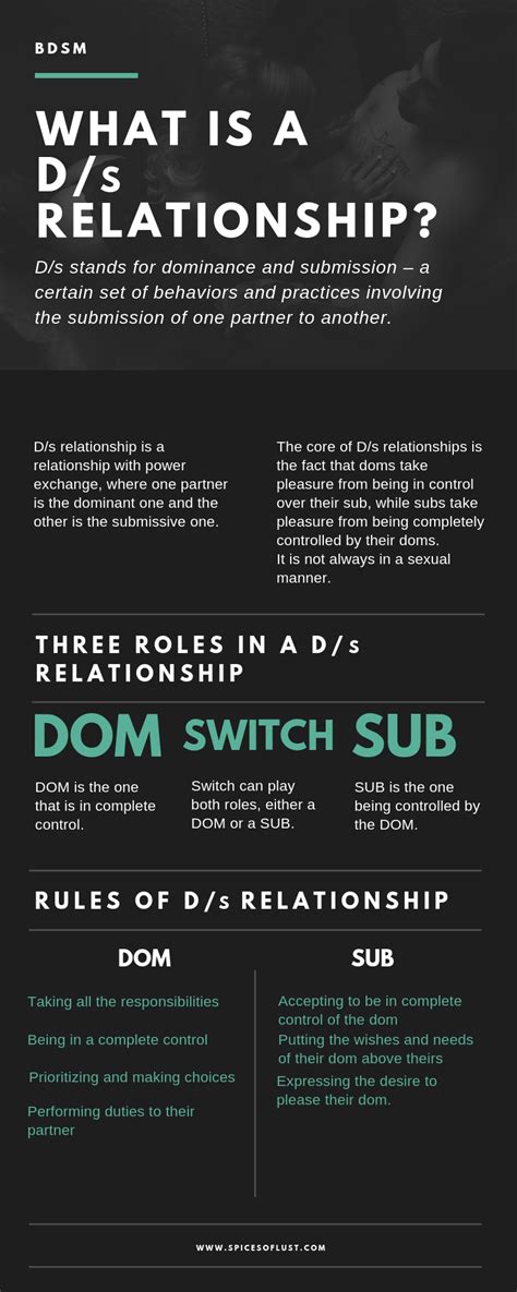 D S Relationship Beginners Guide And Infographic Spices Of Lust