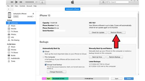 How To Downgrade IOS 18 Beta To IOS 17 Without Data Loss