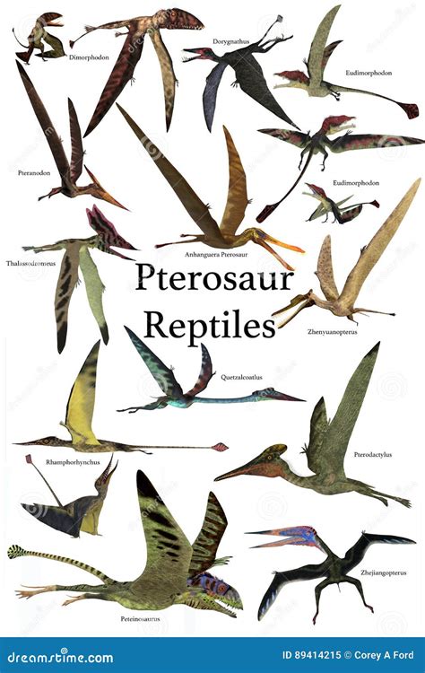 Pterosaur Cartoons Illustrations And Vector Stock Images 2012 Pictures