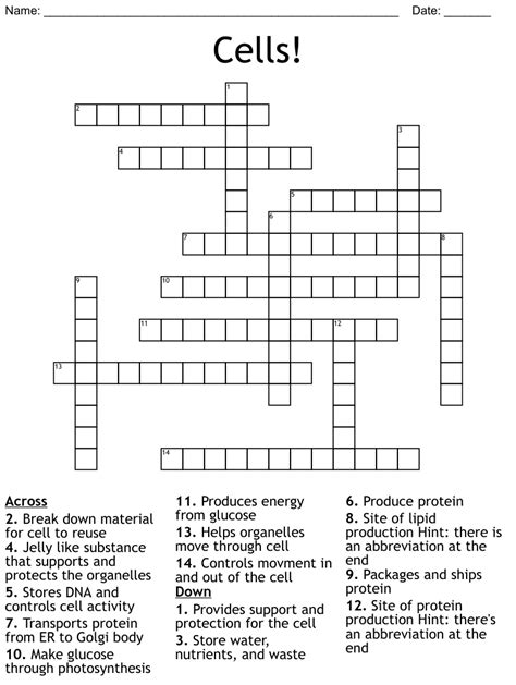 Cells Crossword Wordmint