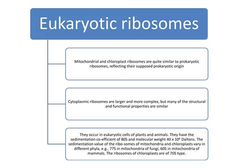 Ribosome Structure And Assembly Ppt