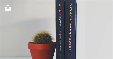Html And Css 책 사진 Unsplash의 무료 책 이미지 Html And Css 책 사진 Unsplash의 무료 책 이미지