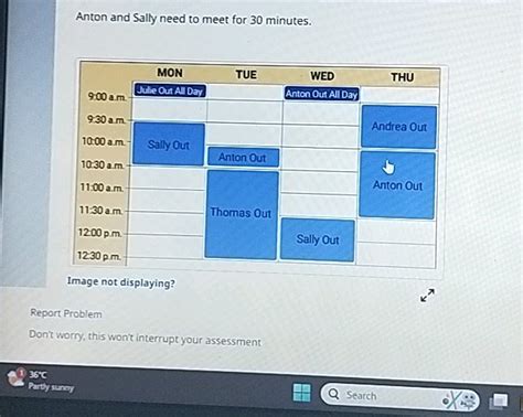 Anton And Sally Need To Meet For 30 Minutes StudyX