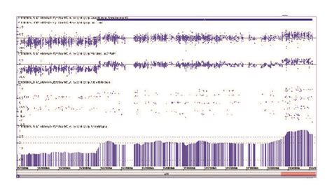 Results Of The Snp Microarray Analysis A Karyotype View Of The