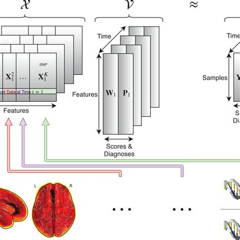 Visualization Of The Input X Coefficient V And Output Y Tensors Download Scientific