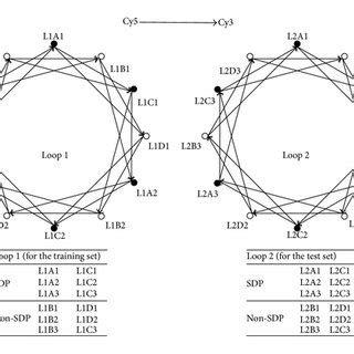 Experimental Designs Of Loop 1 For The Training Set And Loop 2 For Download Scientific