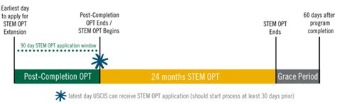 Stem Opt Extension International Programs