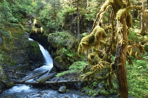 Soak In The Beauty Of Virgin Creek Falls In Girdwood