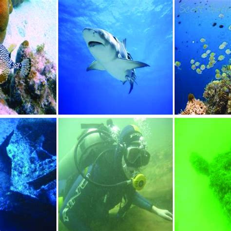 underwater image enhancement results according to the feature