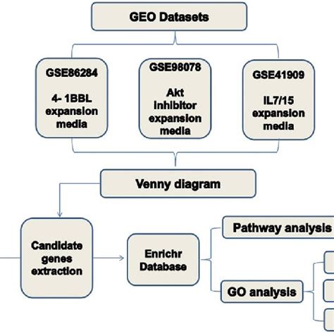 Schematic Pathway Of Bioinformatics Analysis Download Scientific Diagram