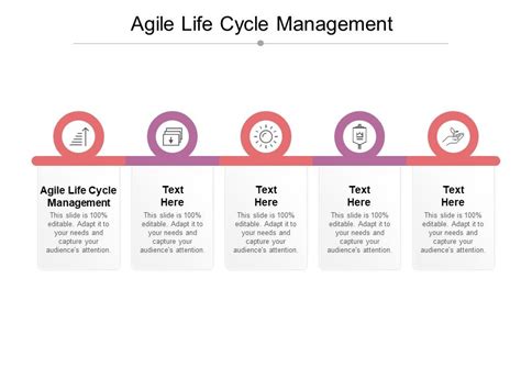 Agile Life Cycle Management Ppt PowerPoint Presentation Styles Guide Cpb