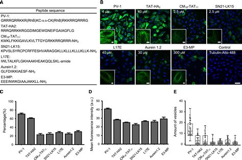 Cytosolic Delivery Of Cell Impermeable Fluorescent Probes By Mixtures Of Cell Penetrating