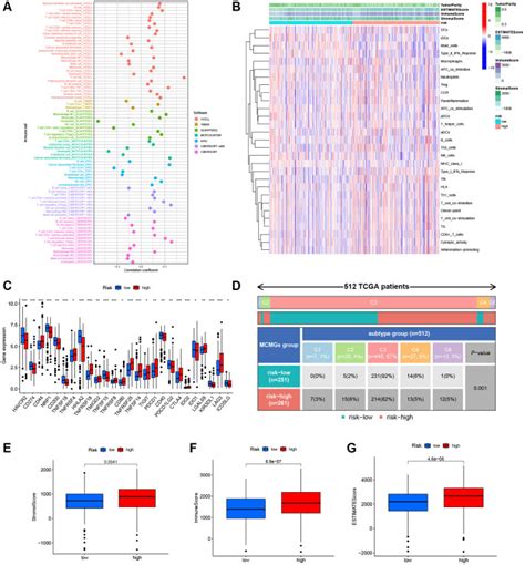 Identification And Validation Of A Novel Signature Based On Macrophage Marker Genes For