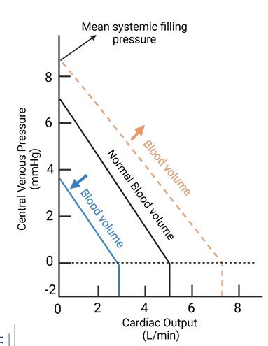 Venous Return Flashcards Quizlet