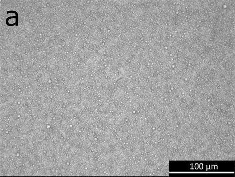 Optical Image Of A Synthesized Polymer Microcapsules B Synthesized