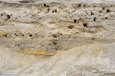 빈 둥지 모래 절벽에 새의 굴 모래 경사면에 제비 또는 소용돌이의 둥지가있는 수많은 구멍 Habitat For Humanity에 대한 스톡 사진 및 기타 이미지 Istock