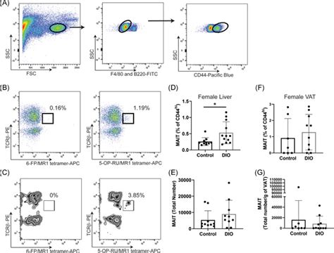 Sex Discrepancy In The Reduction Of Mucosal Associated Invariant T