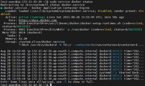 Installera Docker Ce På Aws Ec2 Amazon Linux För Att Köra Containrar