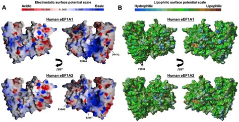 A Two Equivalent Views Rotated By 180 About The Y Axis Of A Download Scientific Diagram