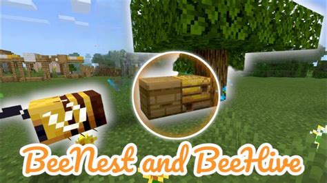 How To Get Bee Nest And Beehives In Minecraft Survival Game Master Minecraft Survival