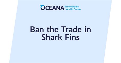 Ban The Trade In Shark Fins Oceana