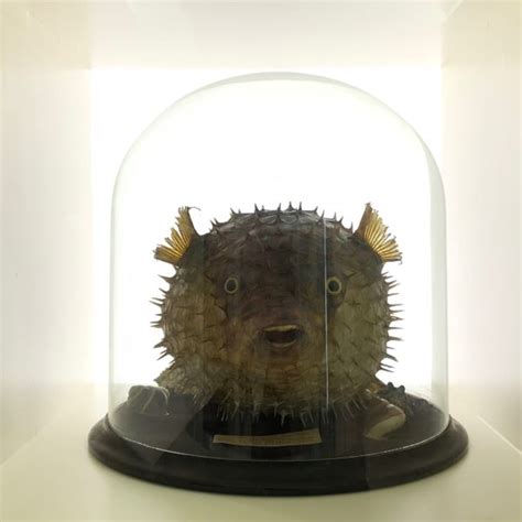 Sql Server Perfmon Counters That Are Still Interesting In 2019 Brent