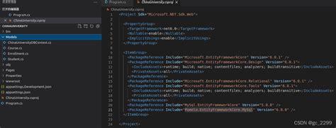 Net 6项目使用db First时报“unable To Resolve Service For Type”的错system