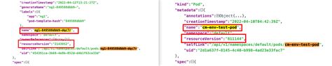 When Sorting The Resourceversion Field In The Cluster The Result Is
