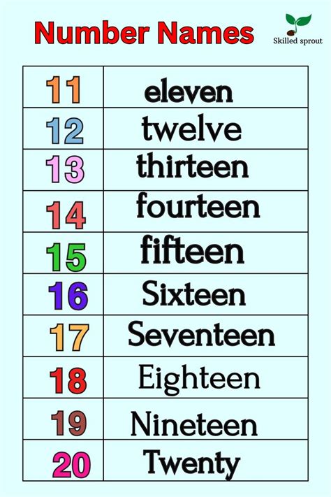 Number Names 11 To 20 Number Spelling 11 20 English Vocabulary