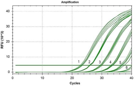 Detection Limit Of QPCR Signals 1 6 The Results Of QPCR For 10 Ng 1 Download Scientific