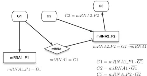 Boolean Network Model Download Scientific Diagram