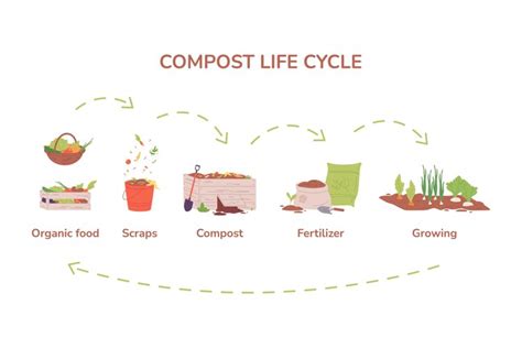 Compost Cycle Farm Garden Composting Process Biology Recy