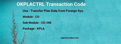 Okplactrl Sap Tcode For Transfer Plan Data From Foreign Sys