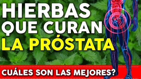 Estas Hierbas CURAN la PRÓSTATA Reducen y Previenen enfermedades Cosas del Jardin Remedios