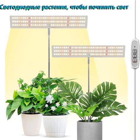 Фитолампа для рассады цветов растений полный спектр лампа для растений купить с доставкой