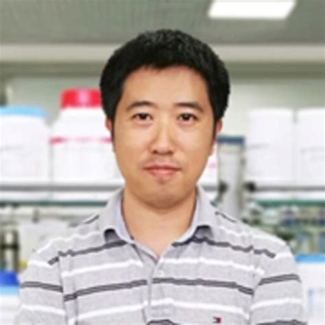 Qiang Chen Full Professor Professor Sichuan University Chengdu