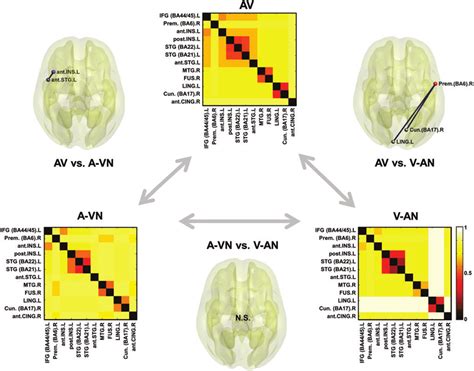 Differences Between Single Linkage Matrices Of Speech Perception Download Scientific Diagram