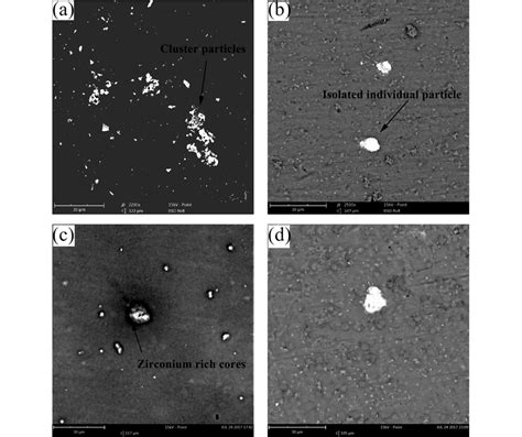 Scanning Electron Microscope Micrographs Showing The Distribution Of